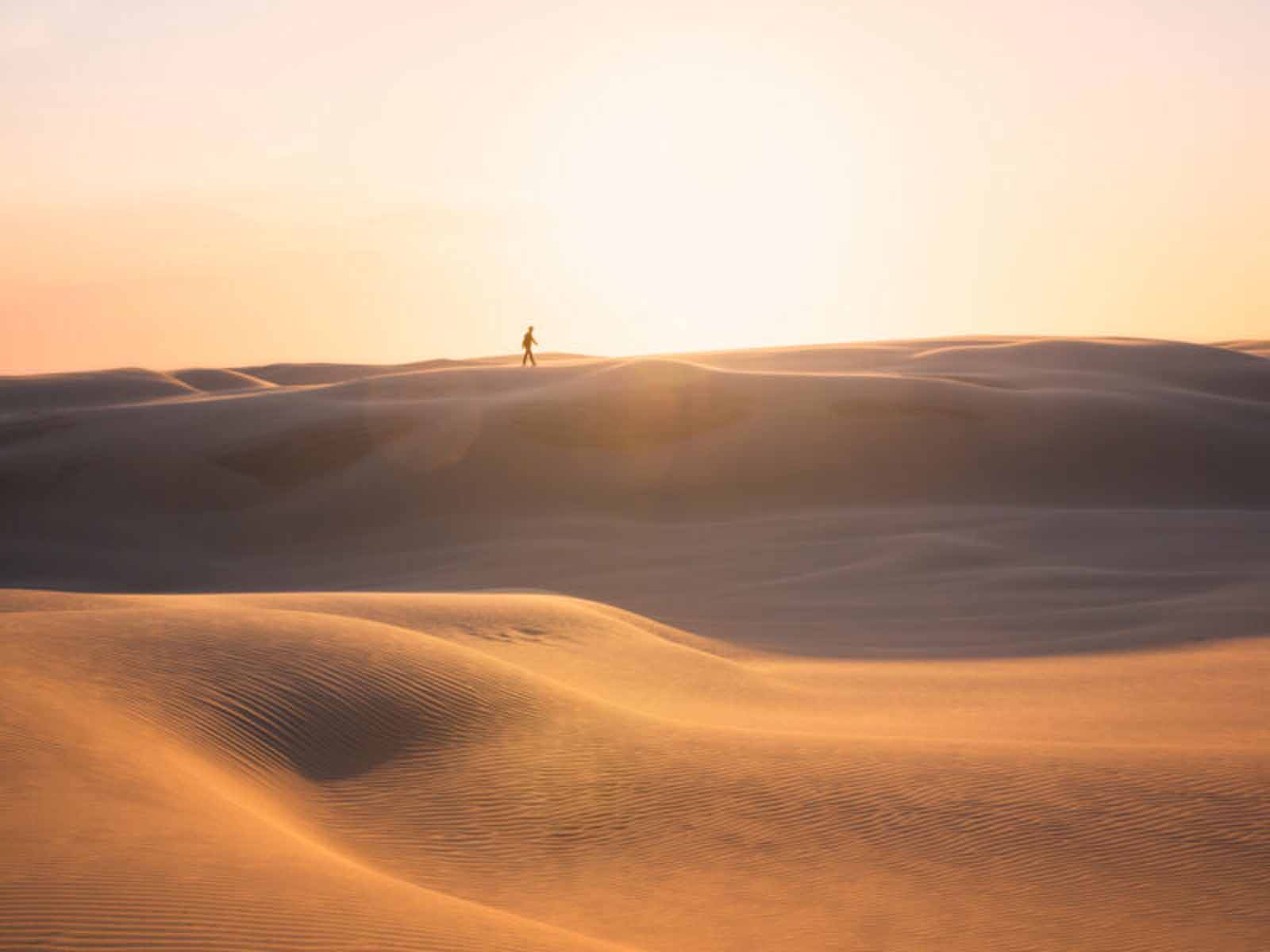 Sand Dunes Port Stephens